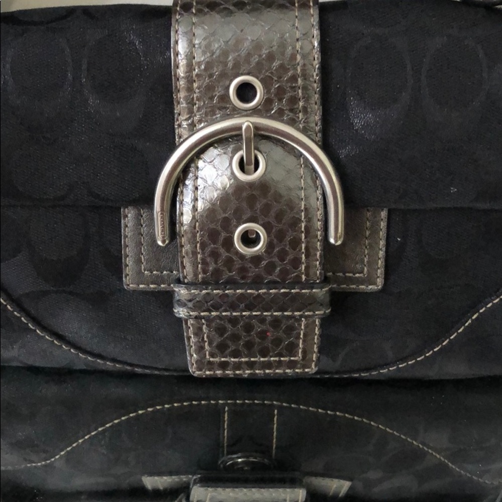 Authentic Coach Limited Edition Coach Python Bag - Gem
